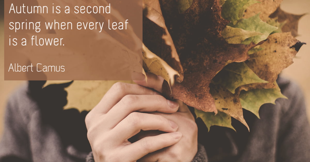 Albert Camus - Autumn | Antonin .B